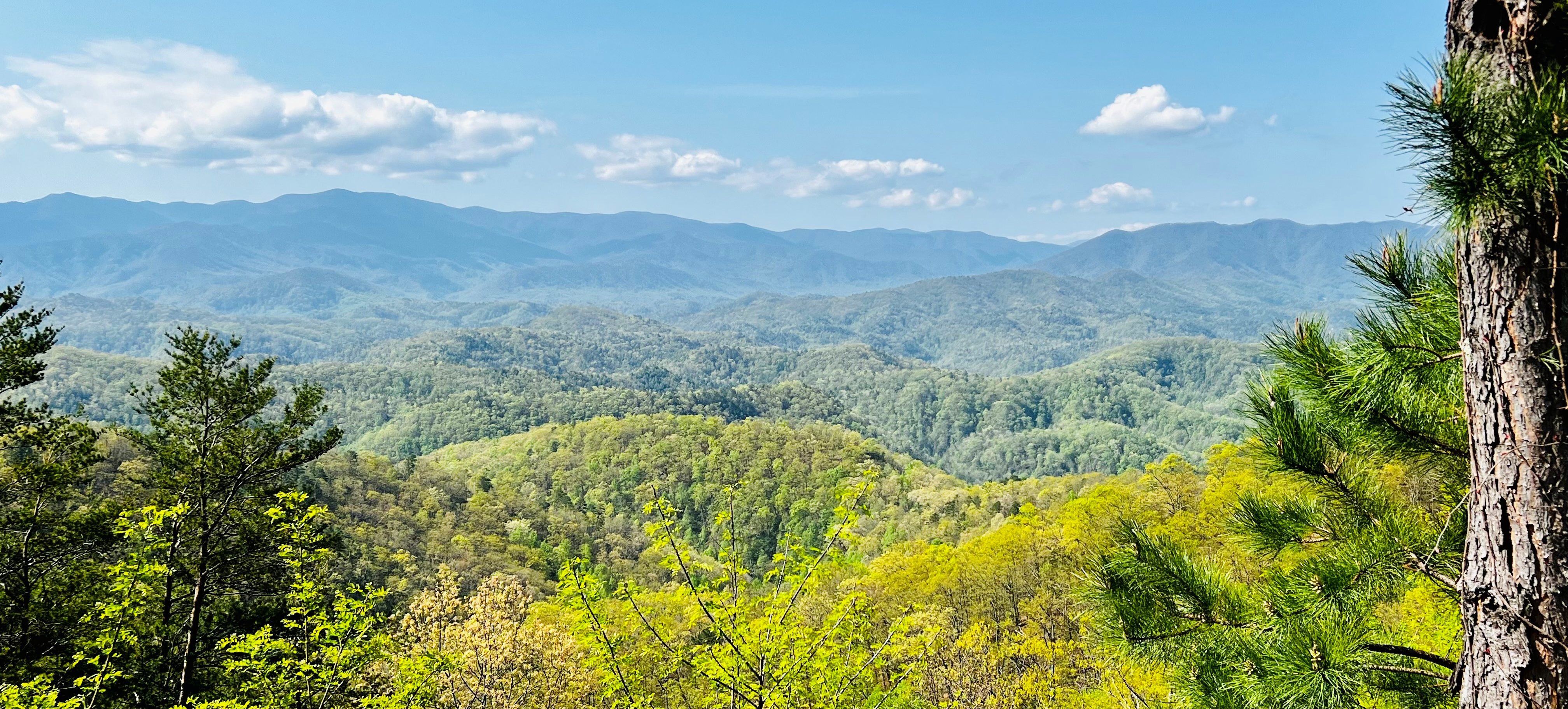 Firewise Program | Sevier County